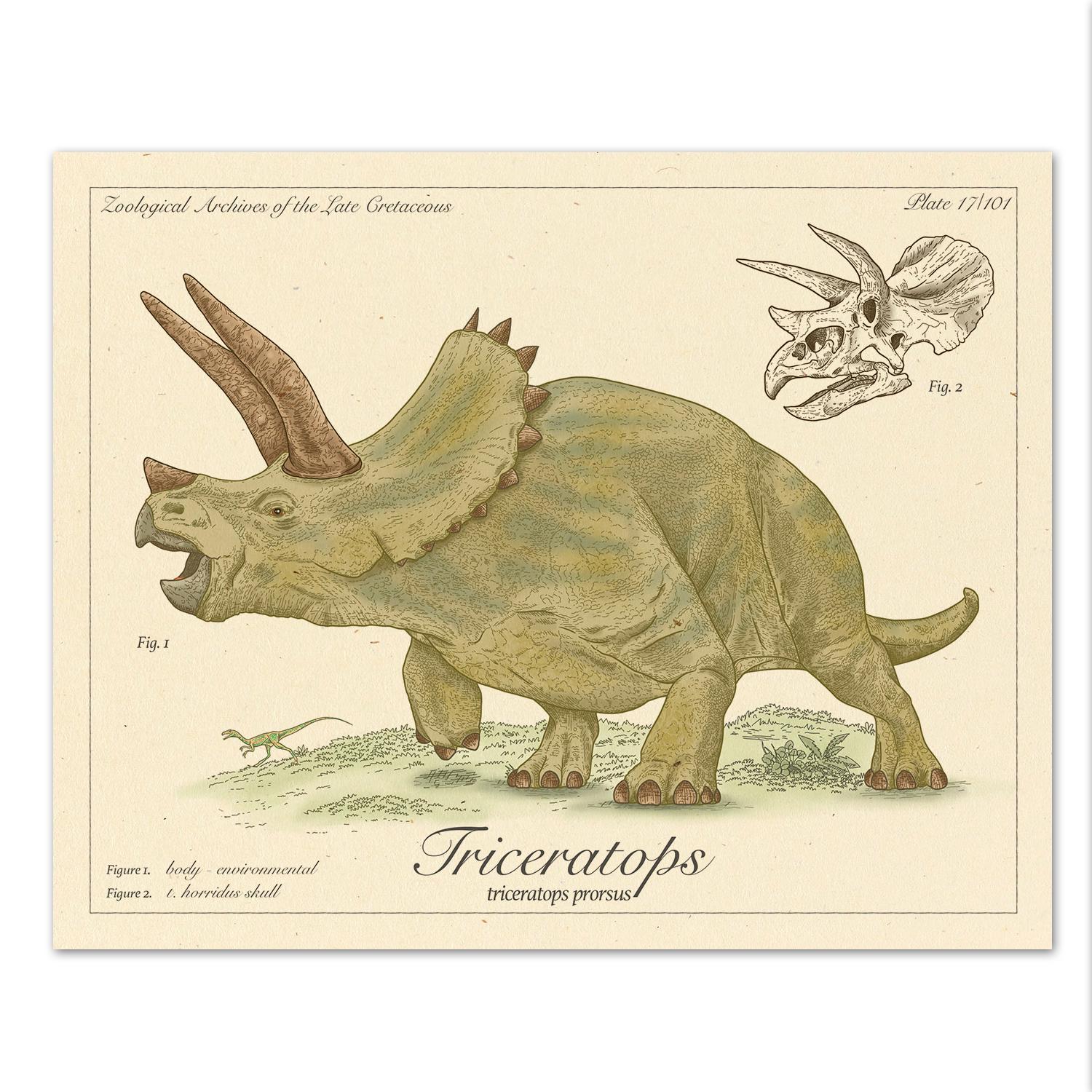 Triceratops - Dinosaurs of the Cretaceous Period - Scientific Style ...