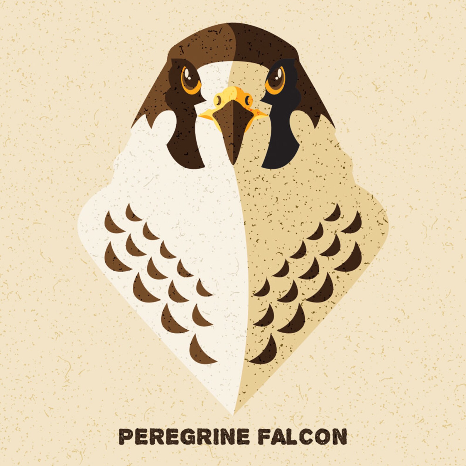 Peregrine Falcon Graphic Icon Print 8x8 - Etsy