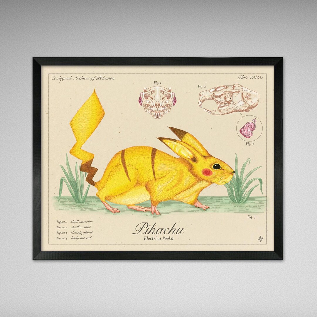 Pikachu - Vintage Style Pokemon Scientific Illustration - 8x10 or 16x20 ...