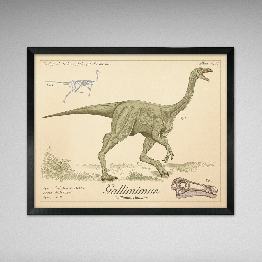 Gallimimus - Dinosaurs of the Cretaceous Period - Scientific Style ...
