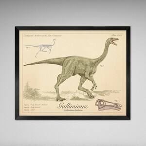 Gallimimus - Dinosaurs of the Cretaceous Period - Scientific Style ...