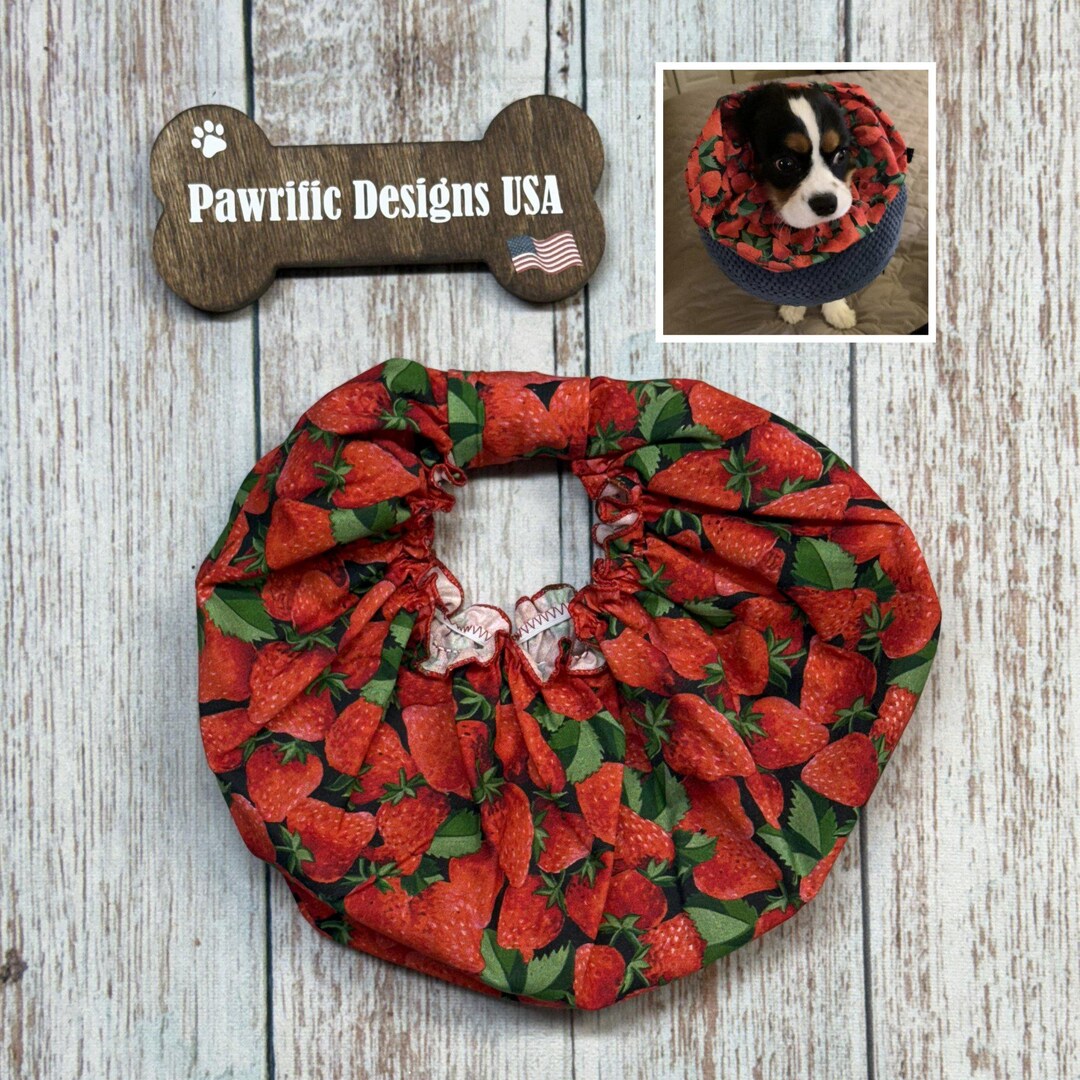Strawberry Dog Snood: Long Ear Cover for Dogs Like Cavalier King ...