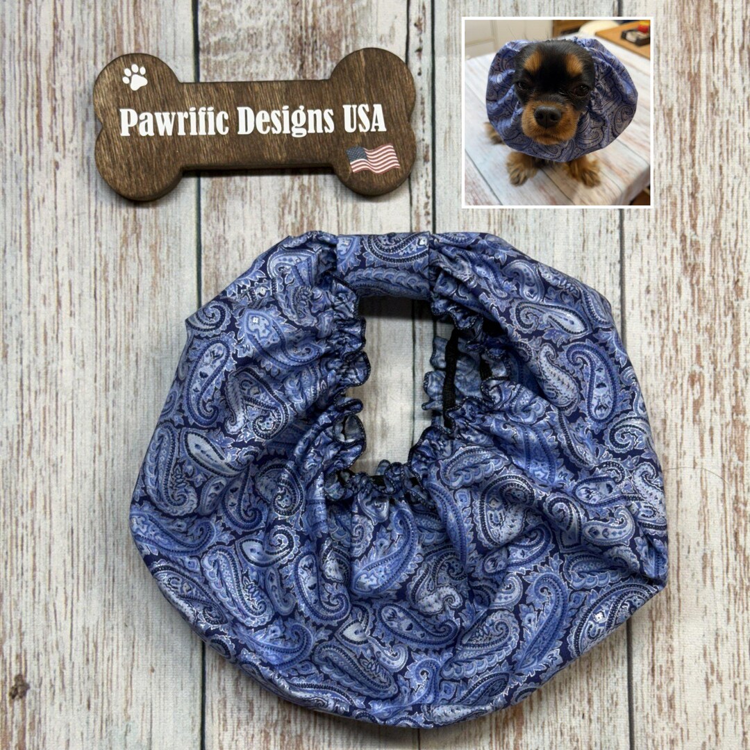 Paisley Dog Snood: Cavalier King Charles Spaniel Ear Protector - Etsy