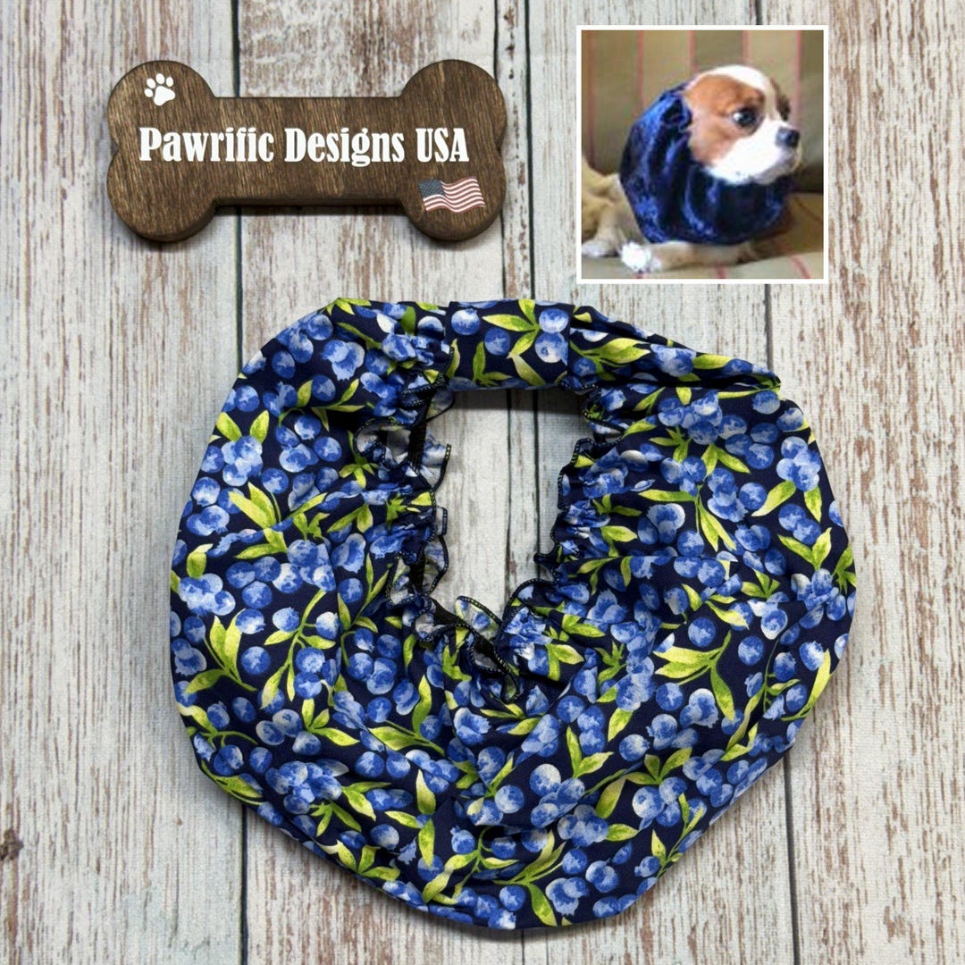 Blueberries Dog Snood: Long Ear Cover for Cavalier King Charles ...