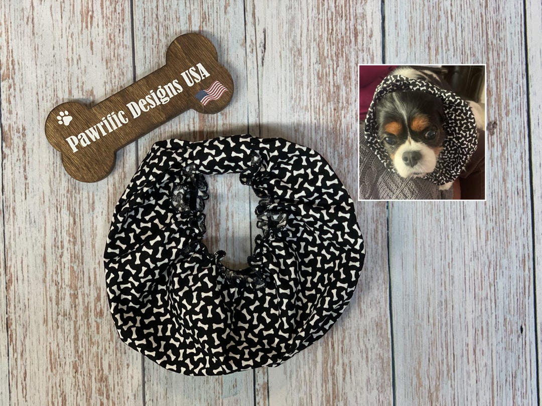 Dog Snood Ear Cover: Cavalier King Charles Spaniel, Dachshund, Poodle ...