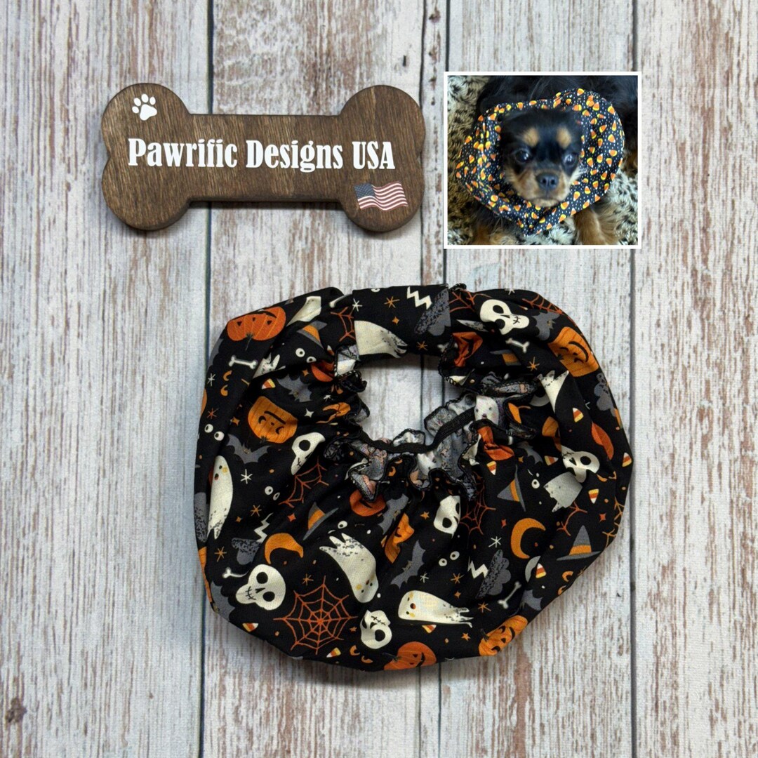 Halloween Dog Snood: Ghost & Pumpkin Print - Cavalier King Charles ...