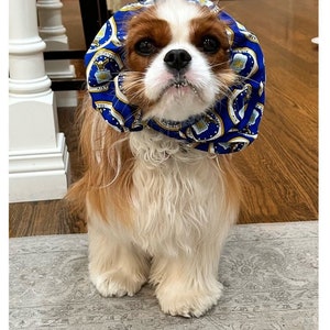 Dog Snood Animal Print Fabric, Cavalier King Charles Spaniel Protect ...