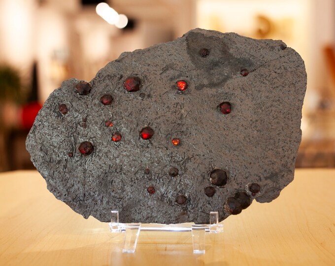 Stunning Garnet in Graphite Plate From the Red Embers Mine in Erving ...