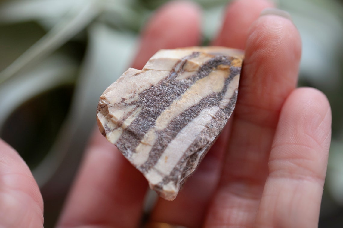 Raw Picture Jasper Stone Rough Banded Jasper Healing Stone - Etsy