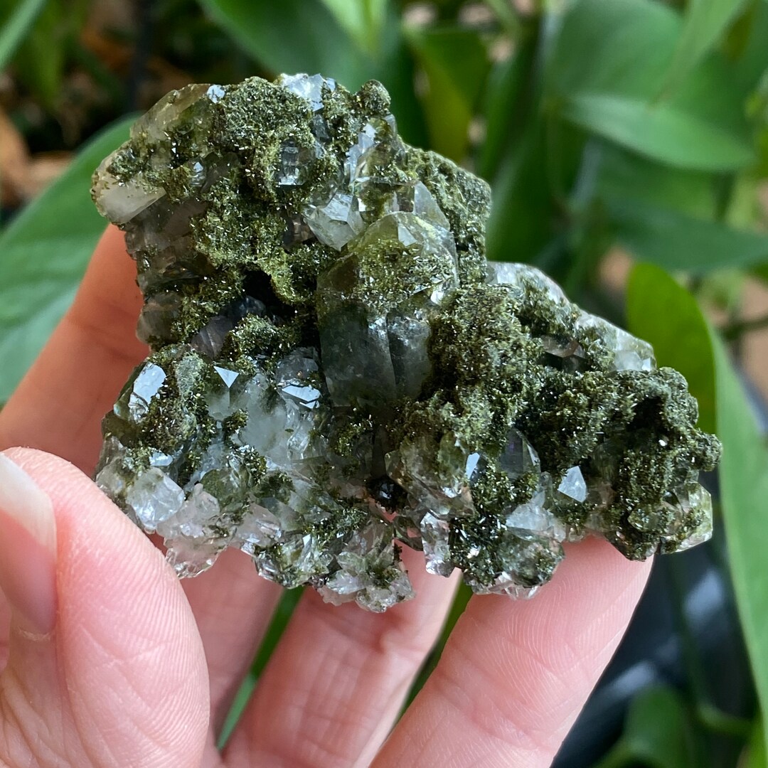 Epidote Crystal, Epidote on Quartz, Turkish Epidote Quartz Specimen ...