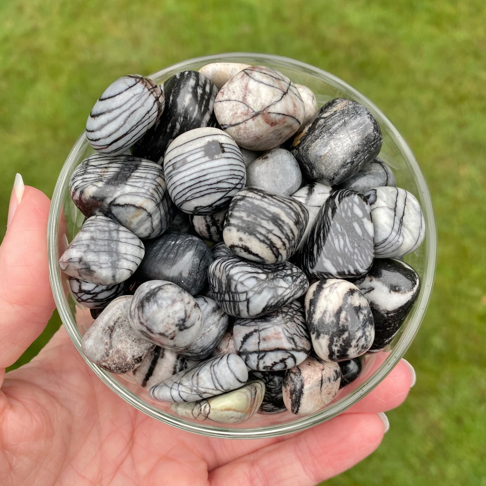Spiderweb Jasper Stone | 1/2in, White & Black Jasper for Gazing ...