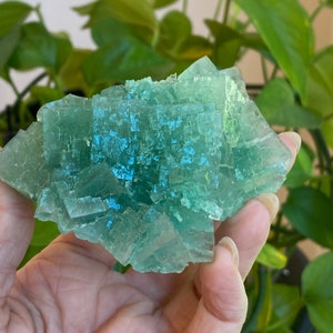 Green Halite, High Quality, Atacamite Halite, Halite Specimen, Poland ...