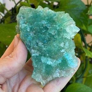 Green Halite, High Quality, Atacamite Halite, Halite Specimen, Poland ...