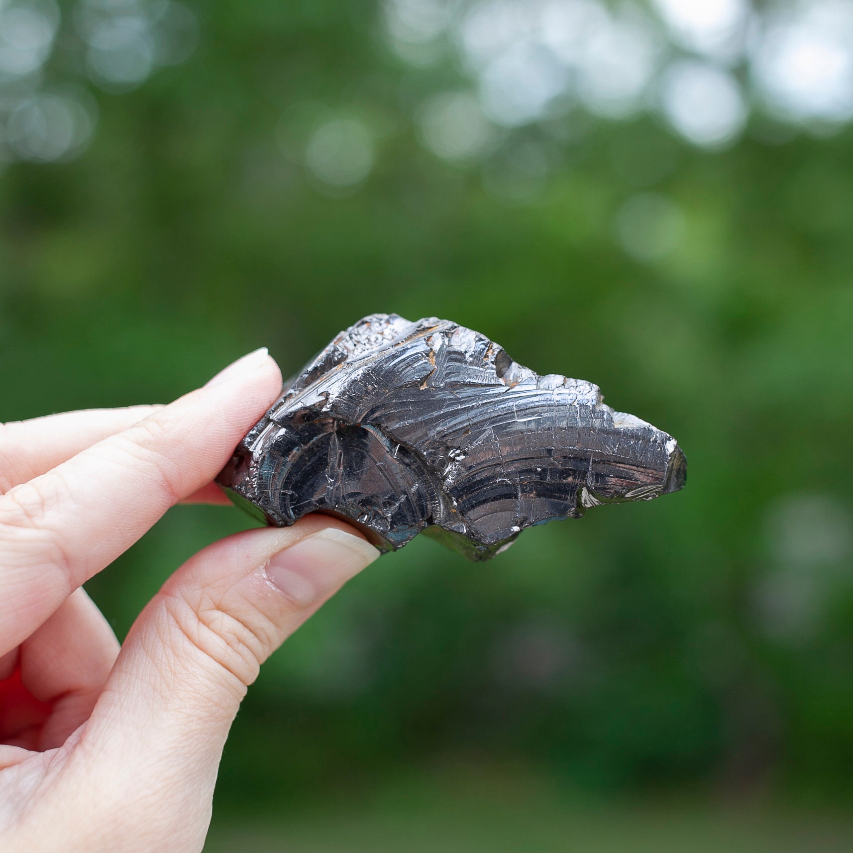 Large Elite Shungite Karelian Highest Purity Raw Shungite | Etsy