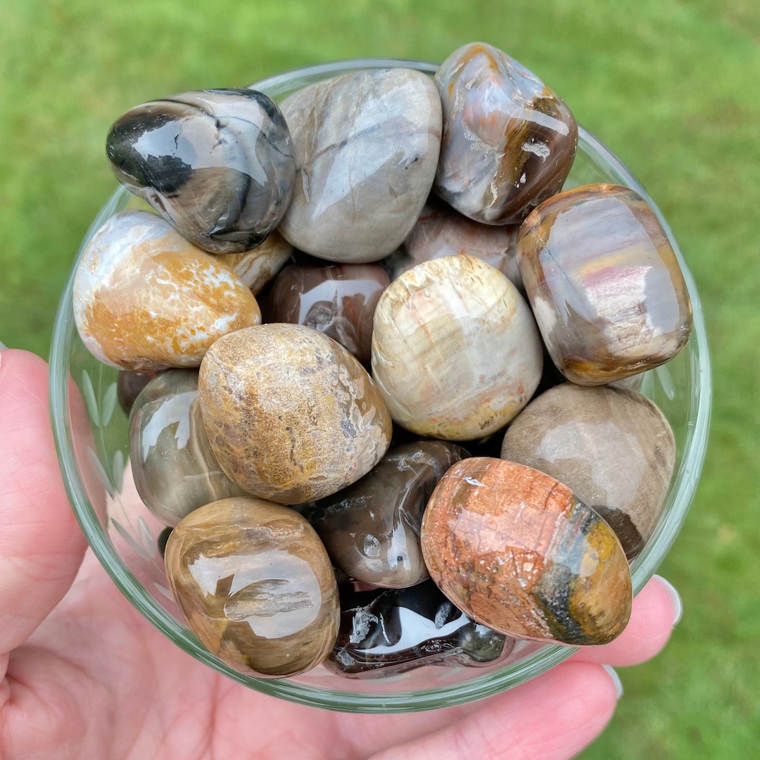 Petrified Wood Tumbled Stone, Fossilized Wood, Agatized Wood | Inner ...