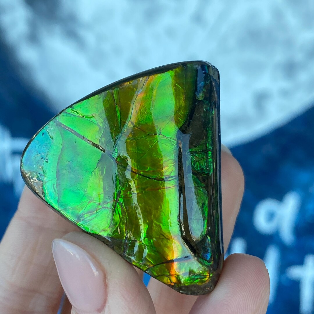 Ammolite, Rainbow Ammolite, Unique, Ammolite Palm Stone, Ammonite ...