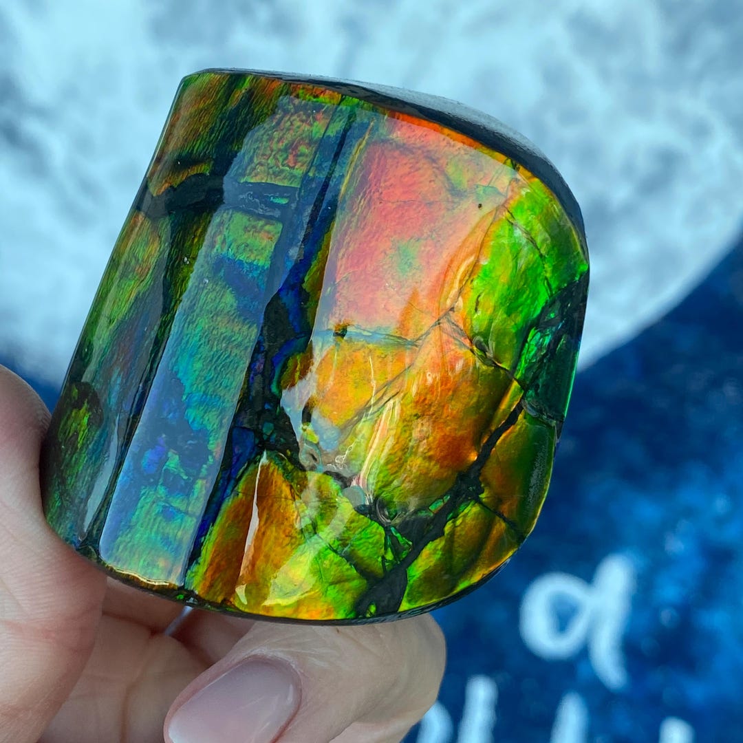Ammolite, Rainbow Ammolite, Unique, Ammolite Palm Stone, Ammonite ...
