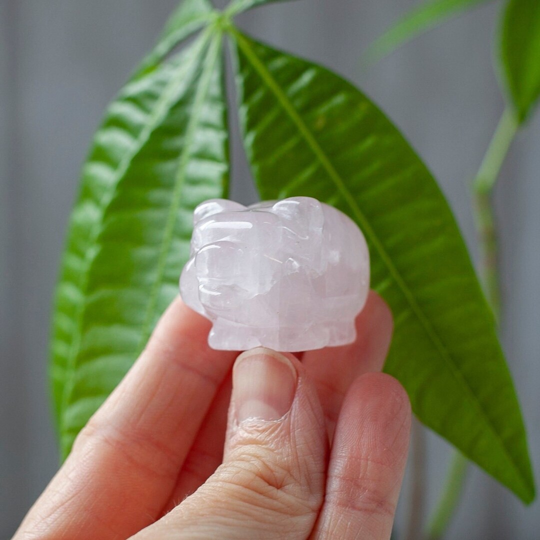 Rose Quartz Pig, Pig Carving, Piglet, Pig Spirit Animal, Pig Totem - Etsy