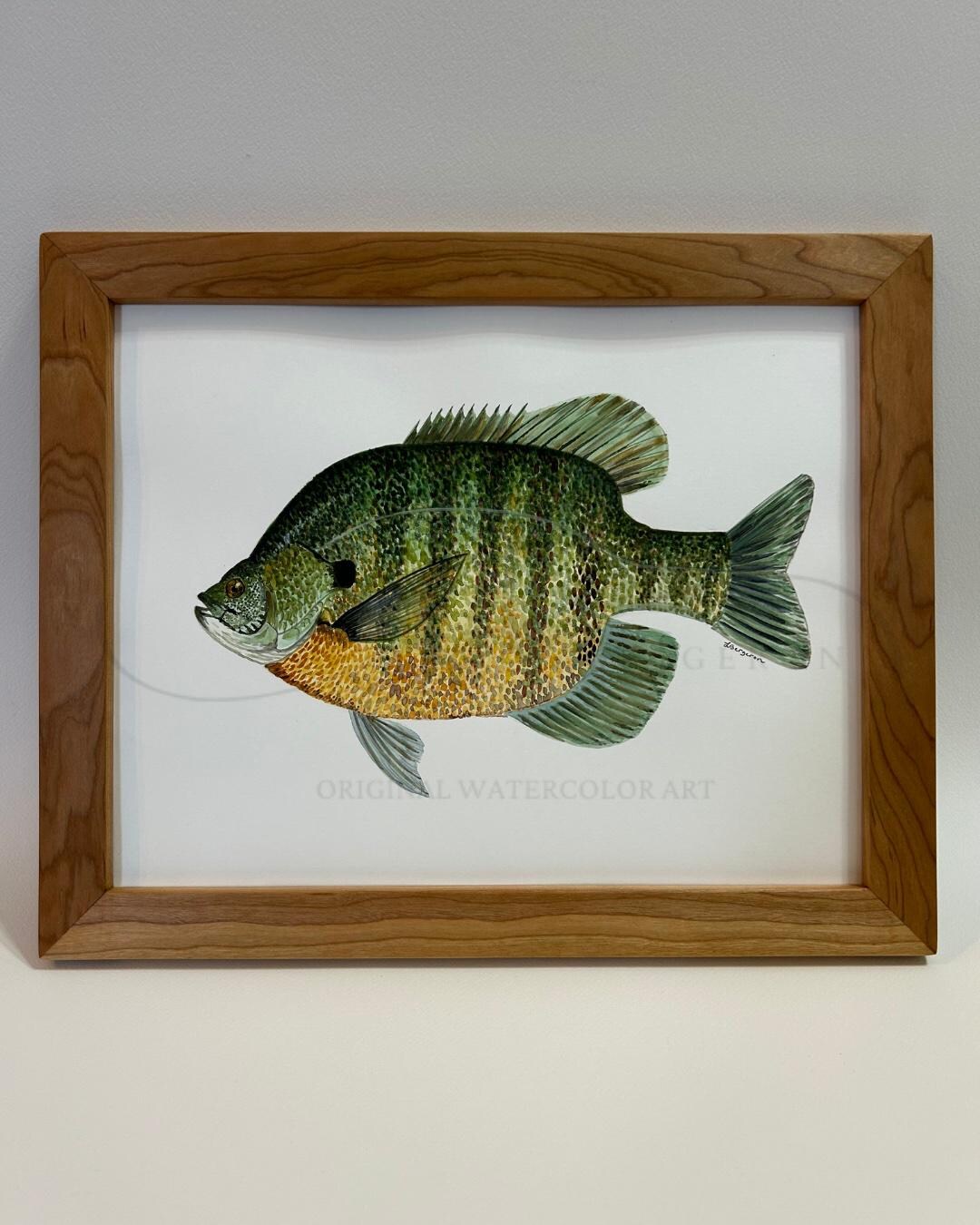 Watercolor Bluegill Fish Prints | Lake House & Cabin Decor | Fisherman ...