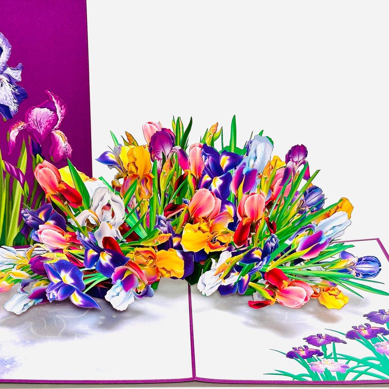 The Traveler Pop Up - Etsy