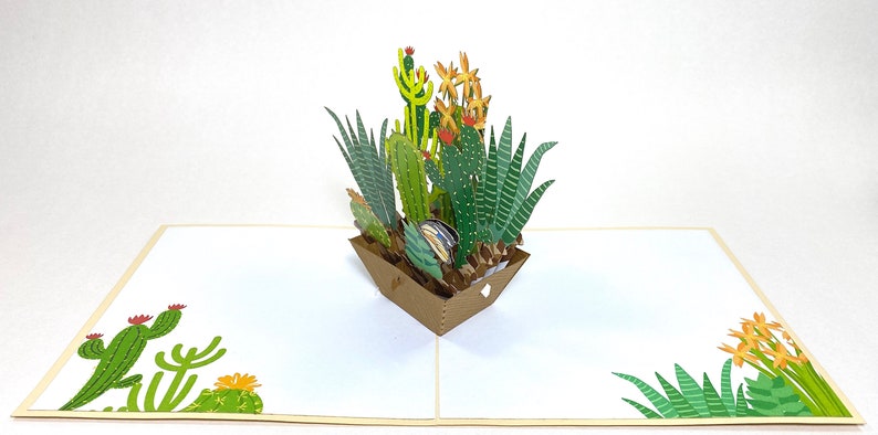 Cactus Flowers - 3D Pop up Cactus Birthday Card - Cactus Get Well Card ...