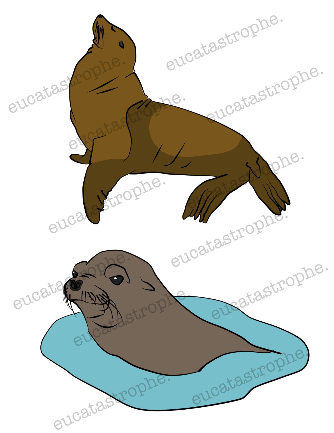 California Sea Lion Clip Art, Digital Download Vector Artwork - Etsy