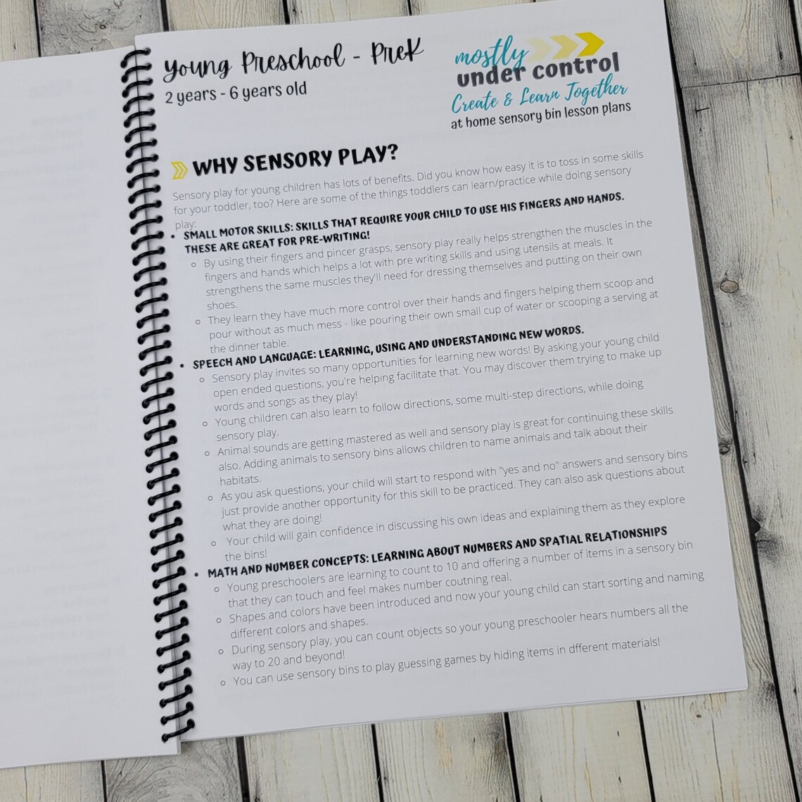 Sensory Bin Sensory Bins Sensory Play Sensory Play Ideas | Etsy