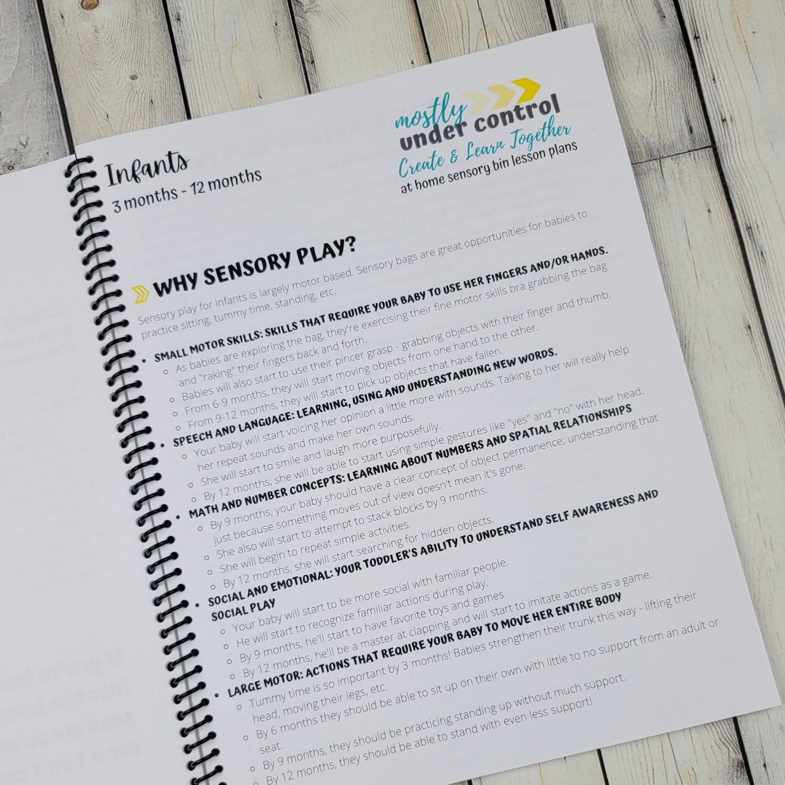 Sensory Bin Sensory Bins Sensory Play Sensory Play Ideas | Etsy