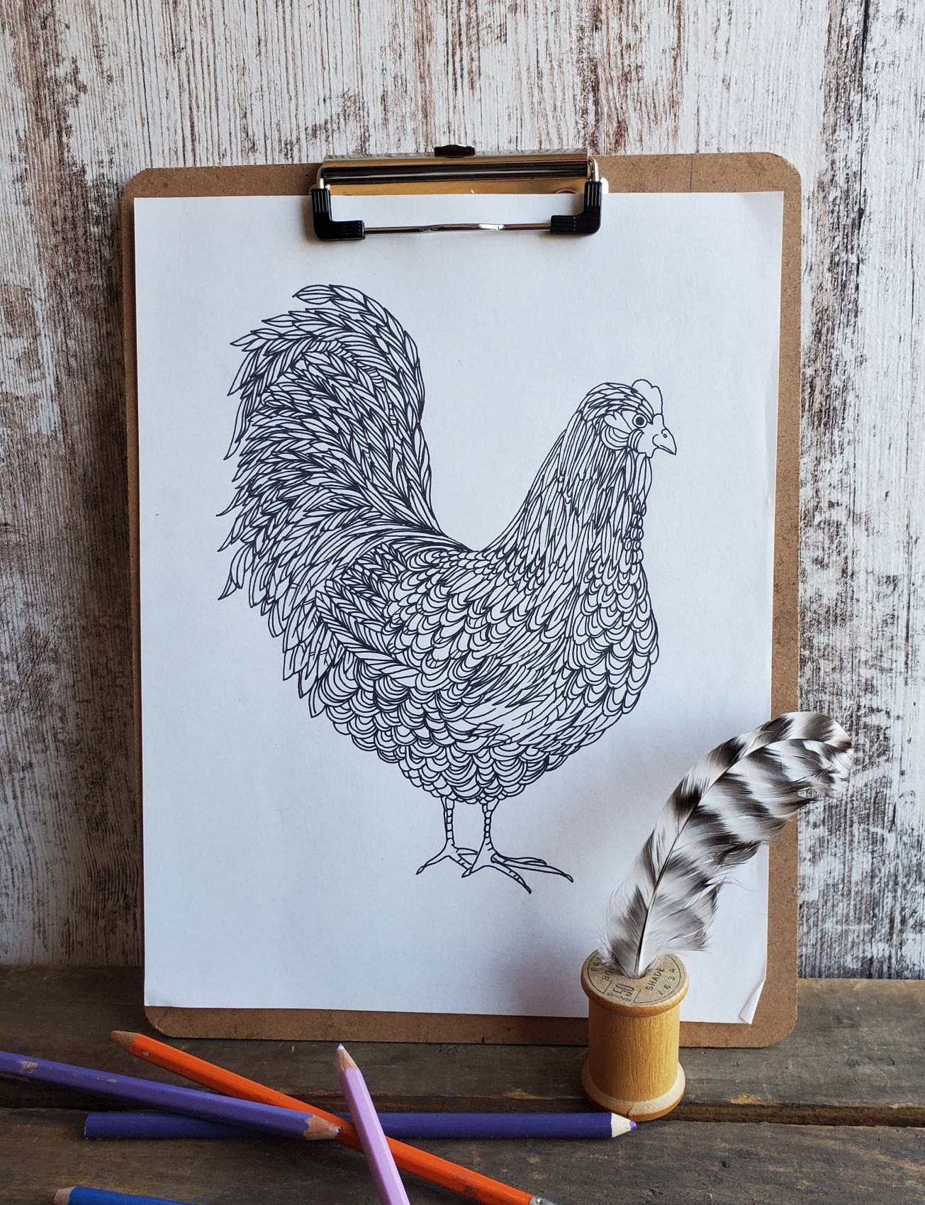 Chicken Coloring Page - Etsy