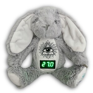 REM Pod Benji the Bunny & Temperature Sensor Teddy Bear Toy Paranormal ...
