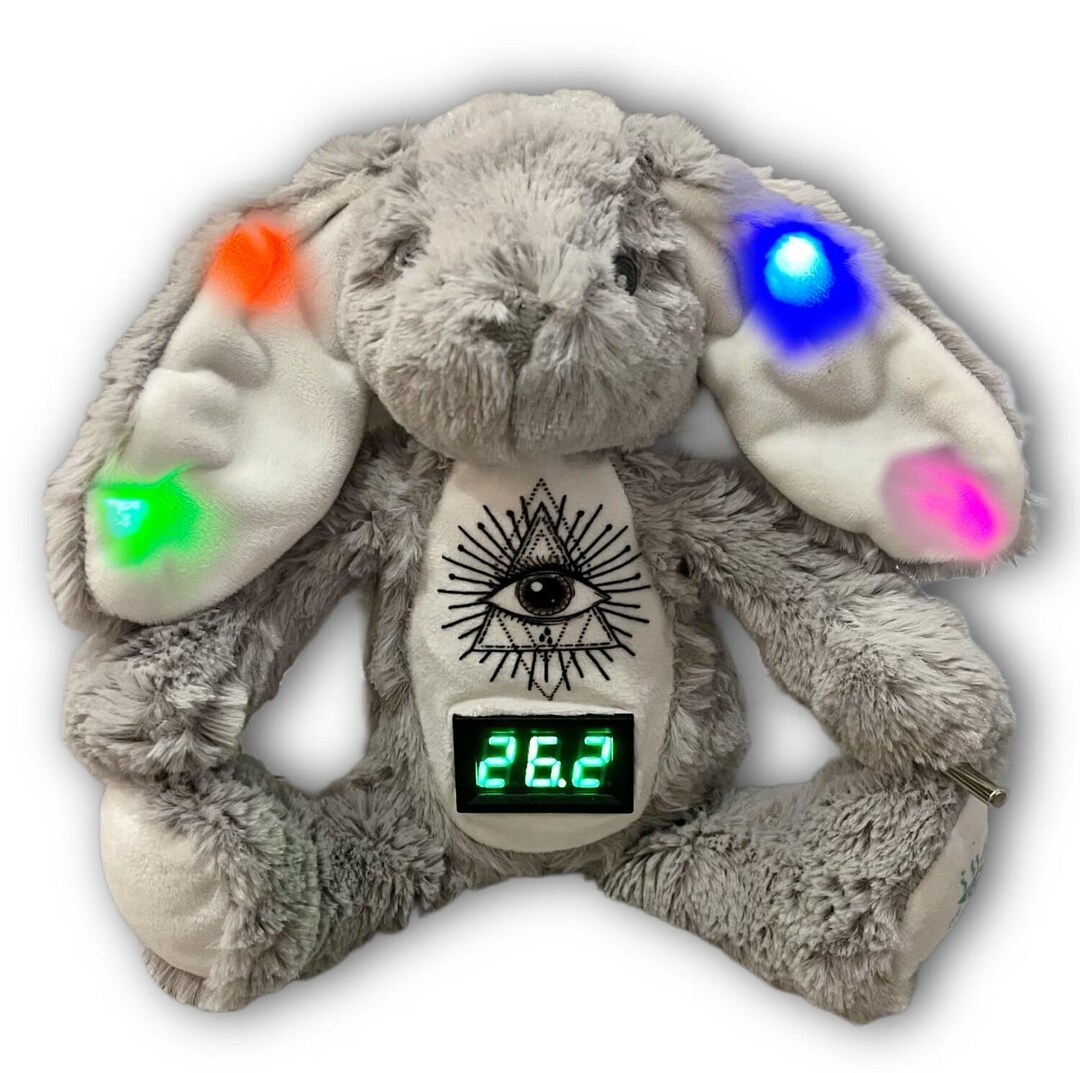 Rem Detector Benji the Bunny & Temperature Sensor Teddy Bear Toy ...