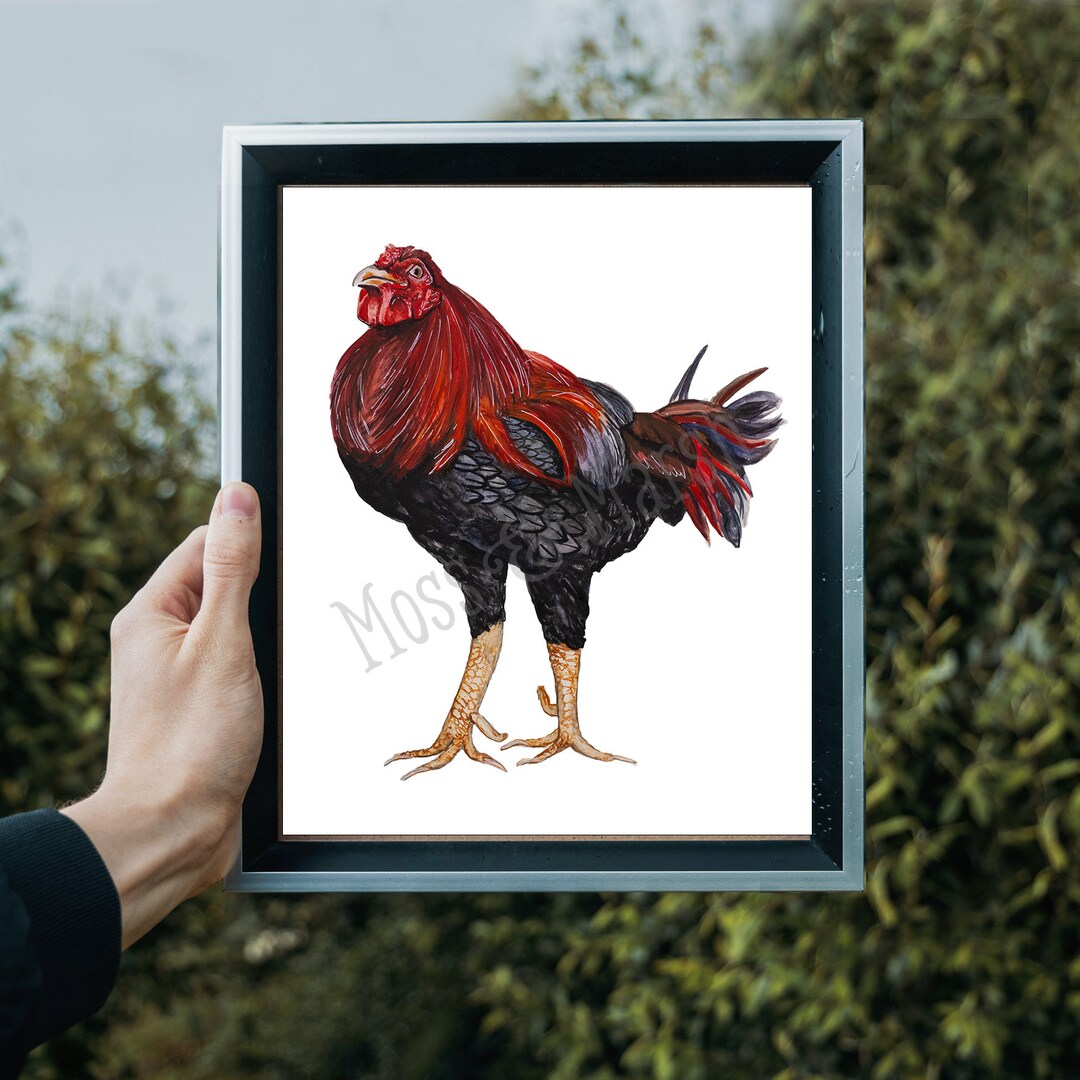 Sir Big Spur- University of South Carolina Collage Print - Etsy