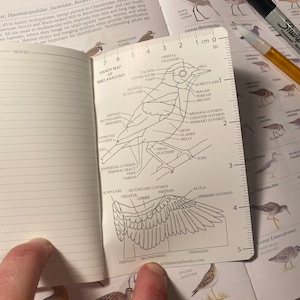 Waterproof Pocket Birding Notebook - Common Loon - Etsy