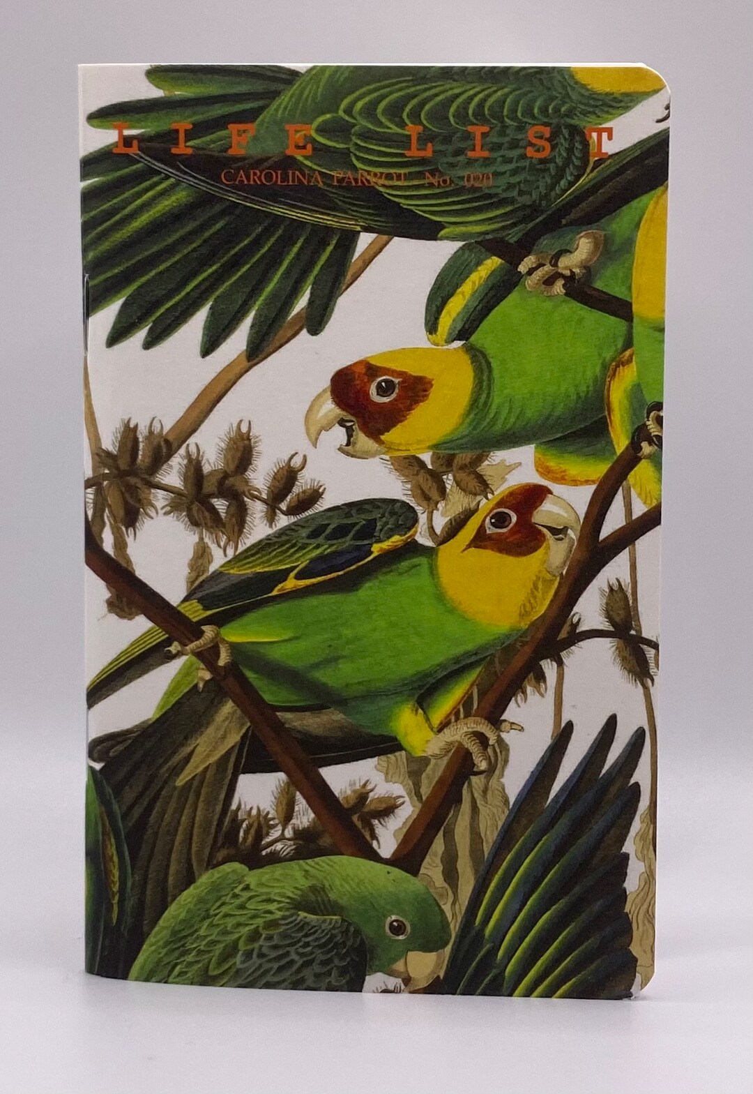 Carolina Parakeet - Pocket Notebook - Etsy