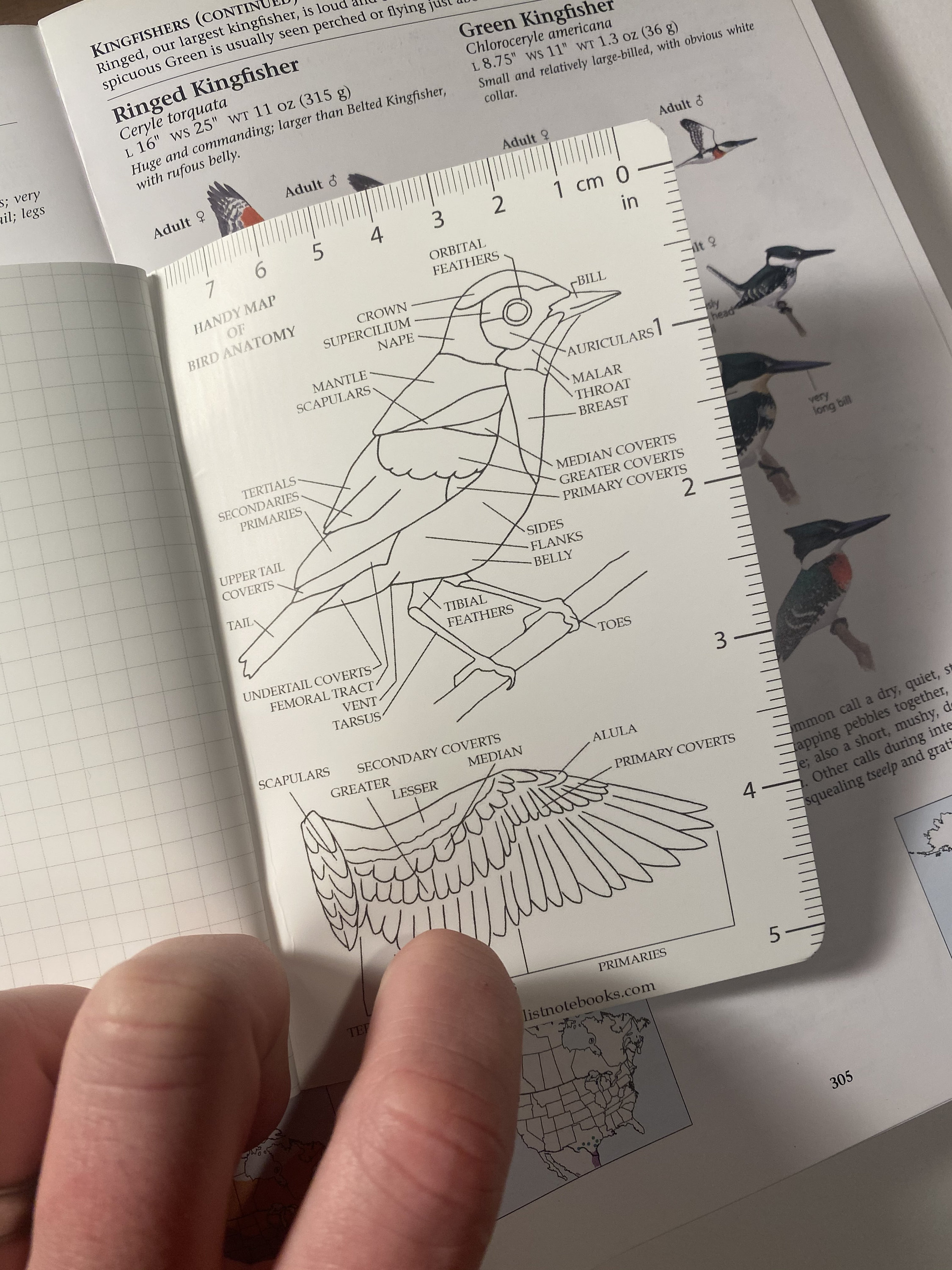 Waterproof Pocket Birding Notebook - Belted Kingfisher - Etsy
