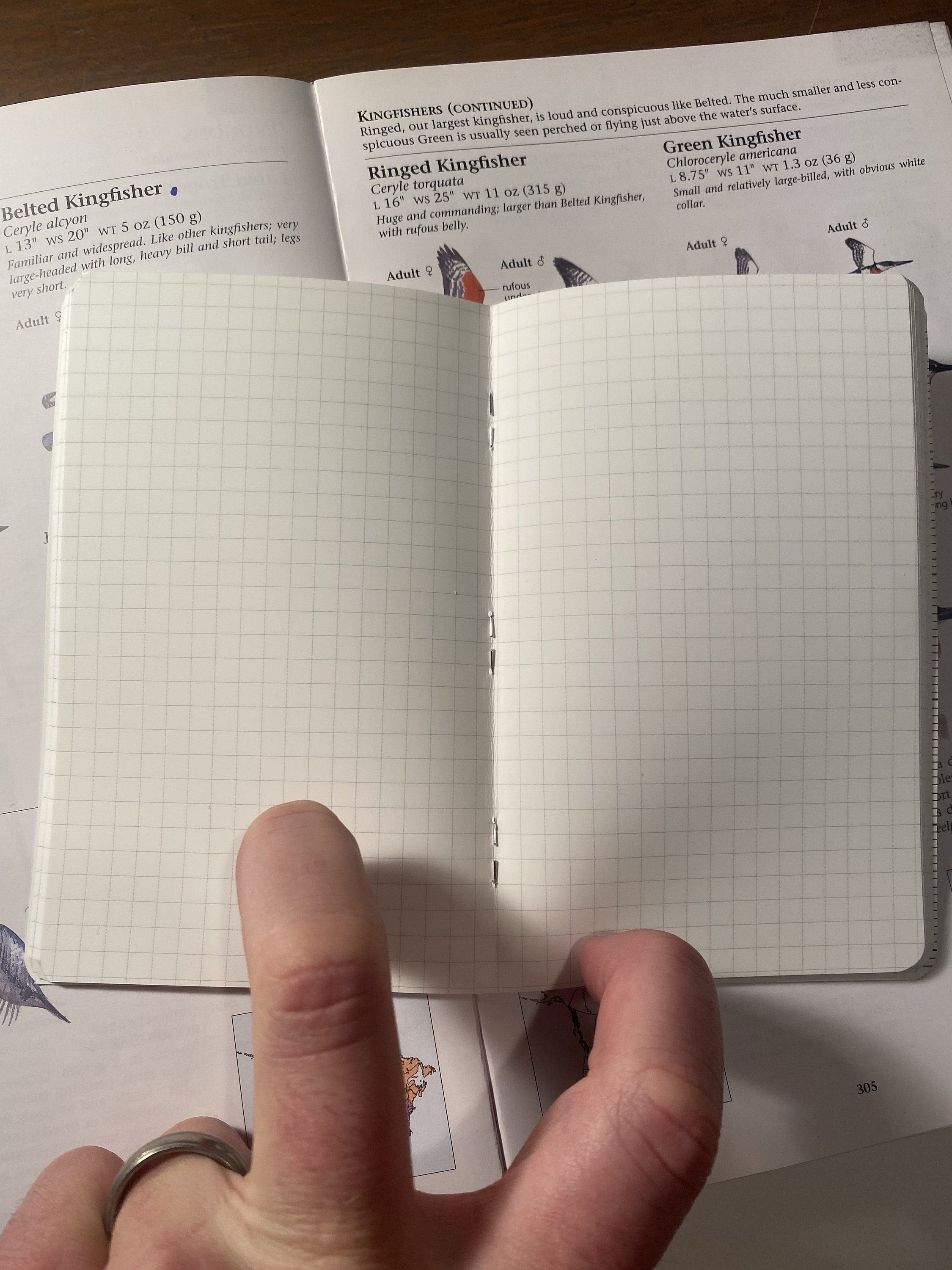 Waterproof Pocket Birding Notebook - Belted Kingfisher - Etsy