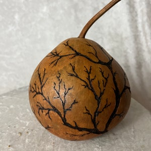 Faux Fractal Burning Technique on a Small Gourd trinket Box. Hand ...