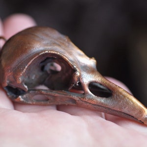 Halloween Present_real Bird Skull Pendant_copper-plated_electroformed ...
