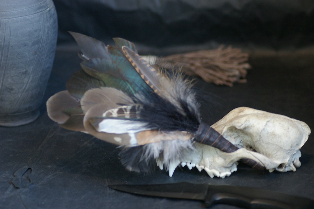 Rooster, Raven, Crow, Woodcock, Goose, Hawk Feathers Smudge Fan ...