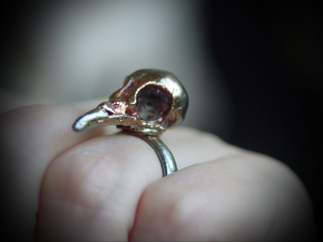 Halloween Present, Real Bird Skull Ring, Copper-plated, Electroformed ...