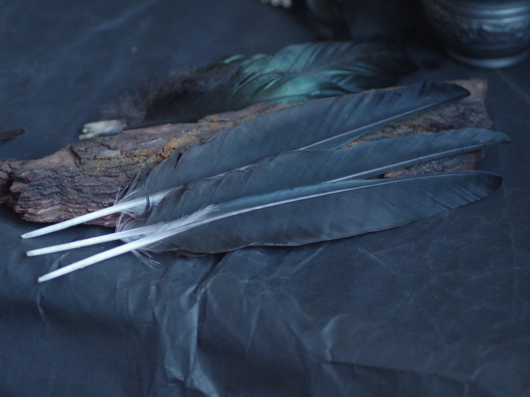Black Raven Feathers, Crow Feathers, Magic, Witchcraft Tools - Etsy