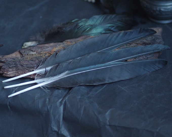 Black Raven Feathers, Crow Feathers, Magic, Witchcraft Tools - Etsy