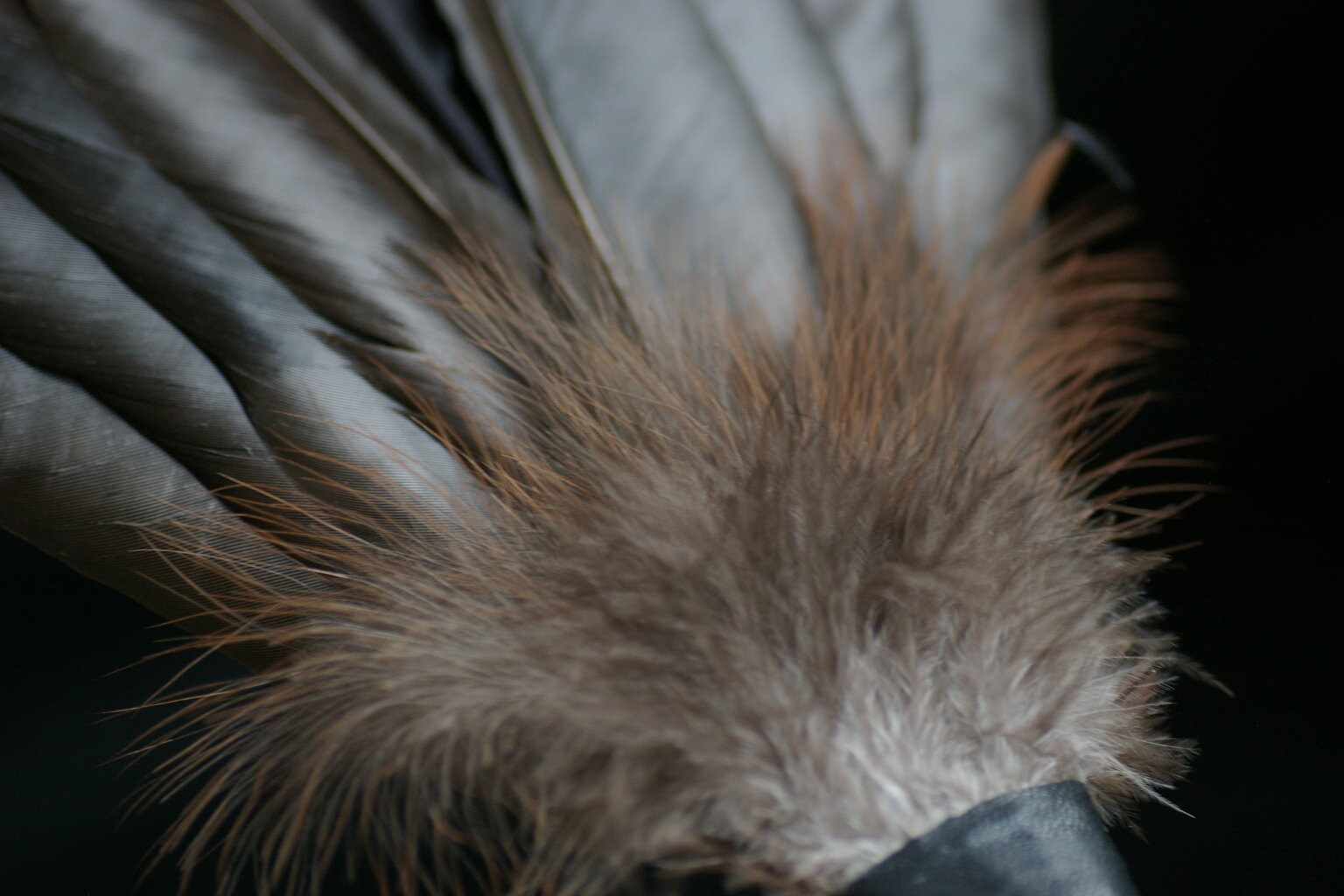 Raven Crow Goose Pheasant Rooster Feathers Smudge - Etsy
