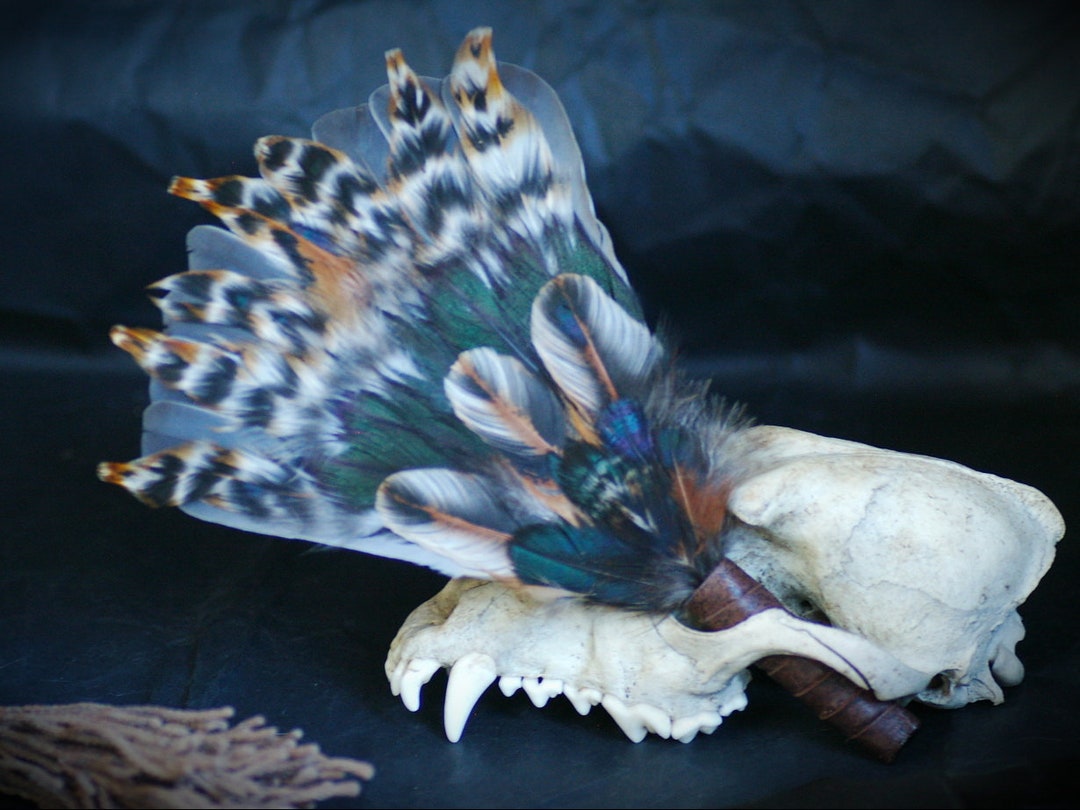 Dove, Rooster, Pheasant, Turkeycock Feathers Smudge Fan_witchcraft ...