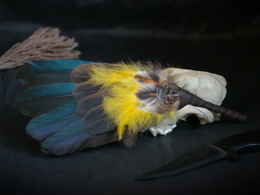 Wild Duck, Rooster, Pheasant, Goose Feathers Smudge Fan_witchcraft ...