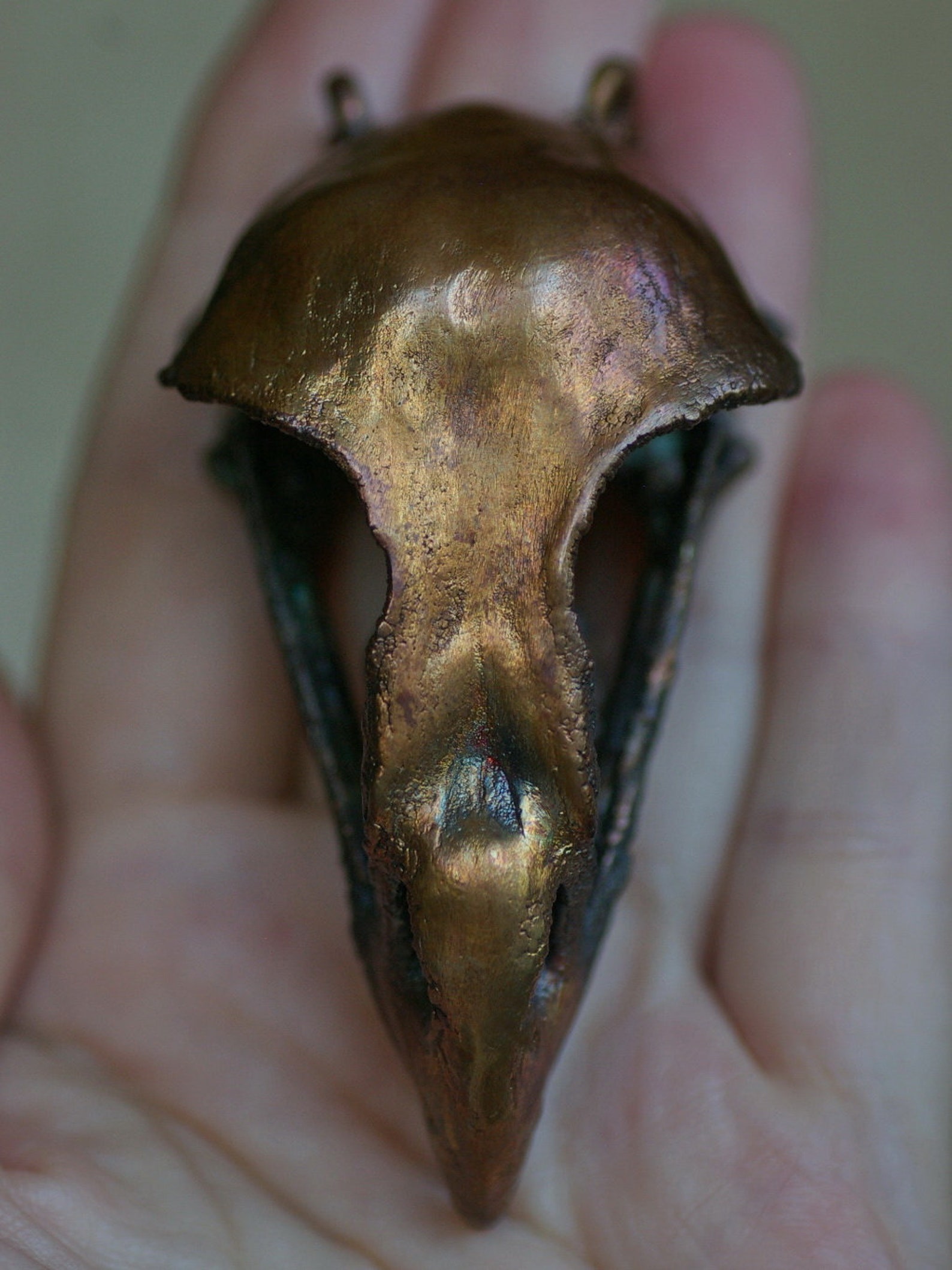 Halloween Present_real Hawk Skull - Etsy