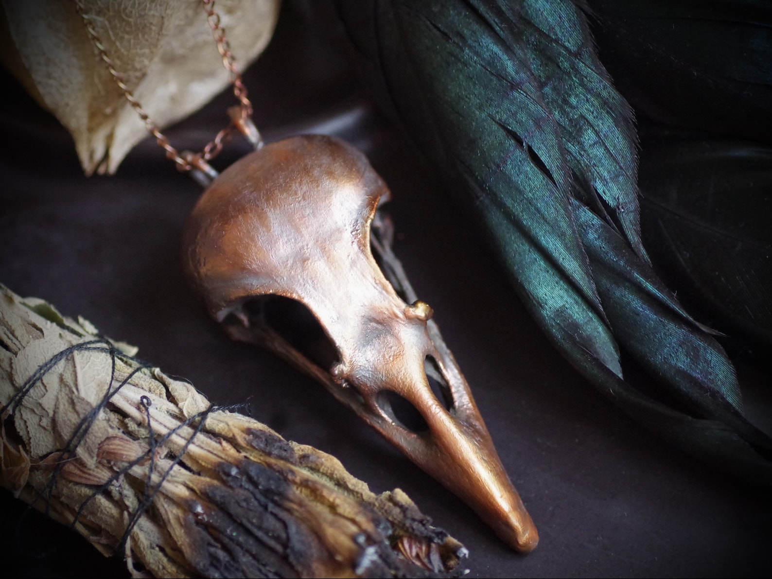Halloween Present_real Bird Skull - Etsy