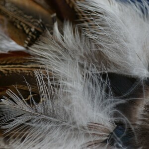 Pheasant, Turkeycock, Goose, Rooster Feathers Smudge Fan_witchcraft ...