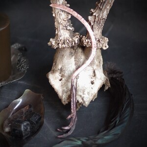 Copper Boline Ritual Sickle: Electroformed Bird Claw Handle, Pagan ...