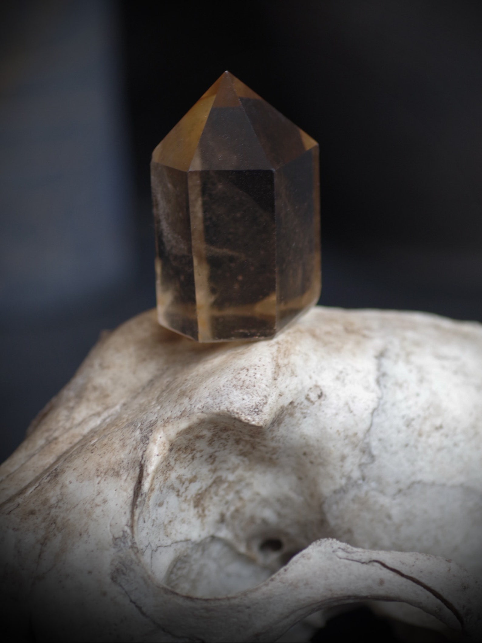 Raw Smoky Quartz Point Rare Beautiful Natural Crystal Quartz - Etsy